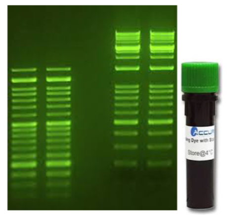 Accuris SmartGlow™Reagents – Cambridge Environmental Products, Inc.