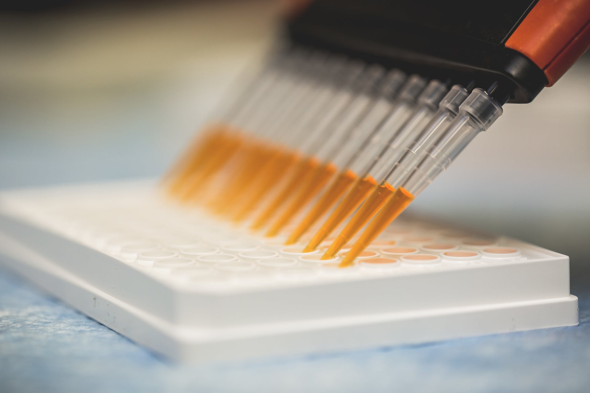 Cell Culture Equipment – Cambridge Environmental Products, Inc.